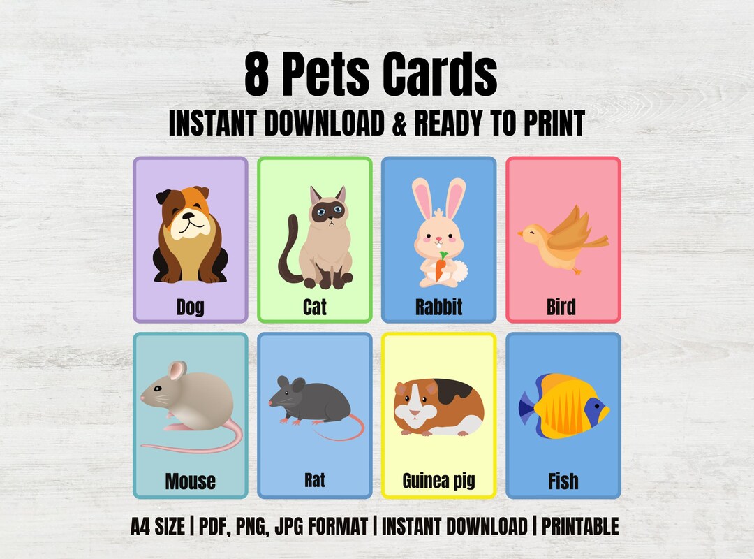 Pet Flashcards | Animal Flashcards for Kids, Homeschool, Toddler Games ...