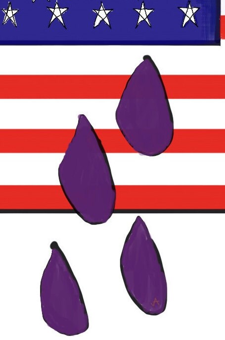 Discord- American Flag Civil Unrest Stars Divided United States Broken ...