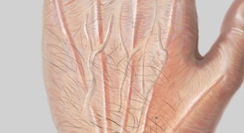 Hand- Digital Art Print Hand Fingers Forearm Nails Wrist Skin Painting ...