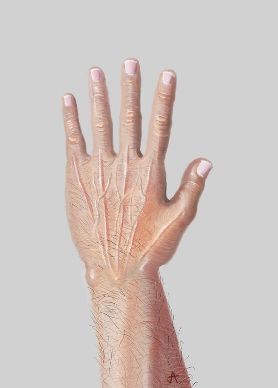 Hand Digital Art Print Hand Fingers Forearm Nails Wrist Skin - Etsy