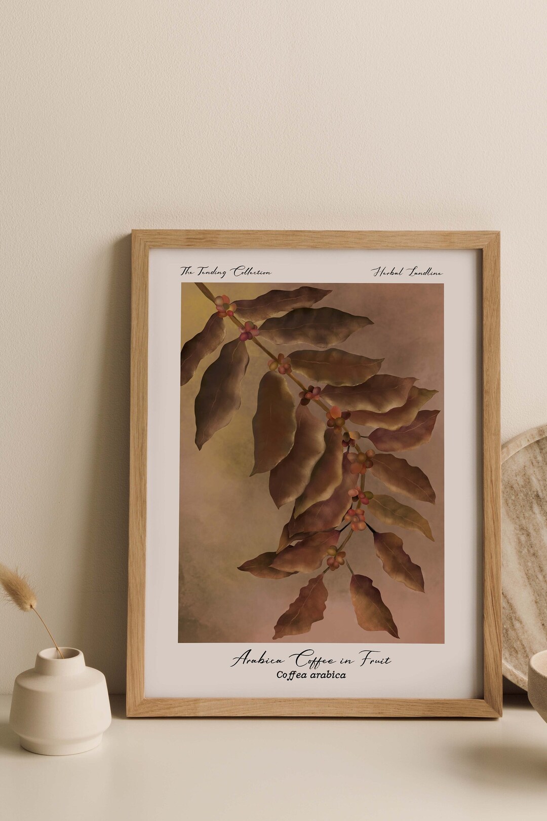 Coffee Botanical Art Print: Light Academia Kitchen Decor (12 X 16") - Etsy