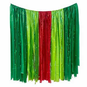 Fringe Backdrop, Streamer Backdrop, Party Backdrop, Photo Backdrop, Red ...