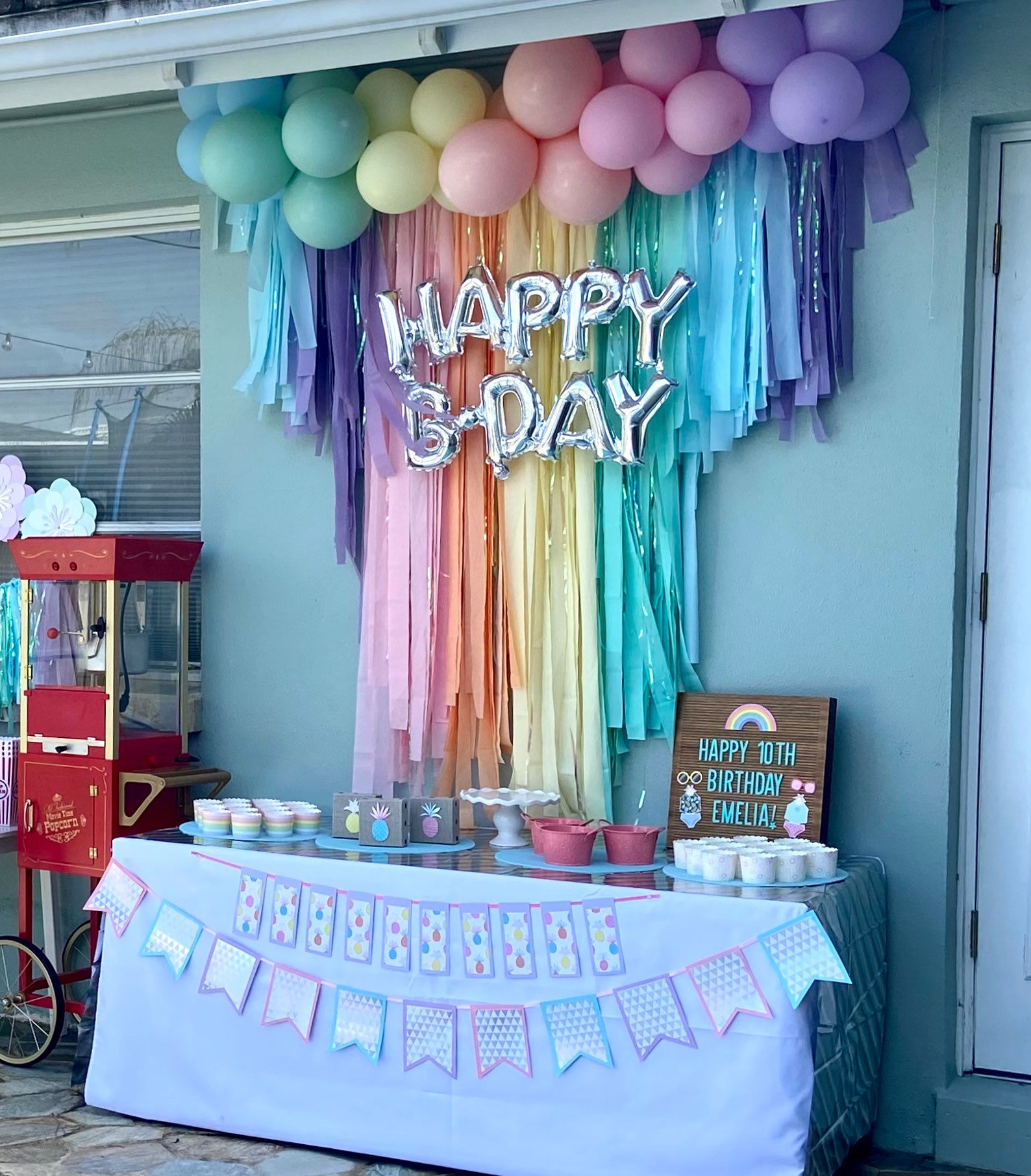 DIY Streamer Backdrop Kit DIY Fringe Backdrop Kit Make Your - Etsy