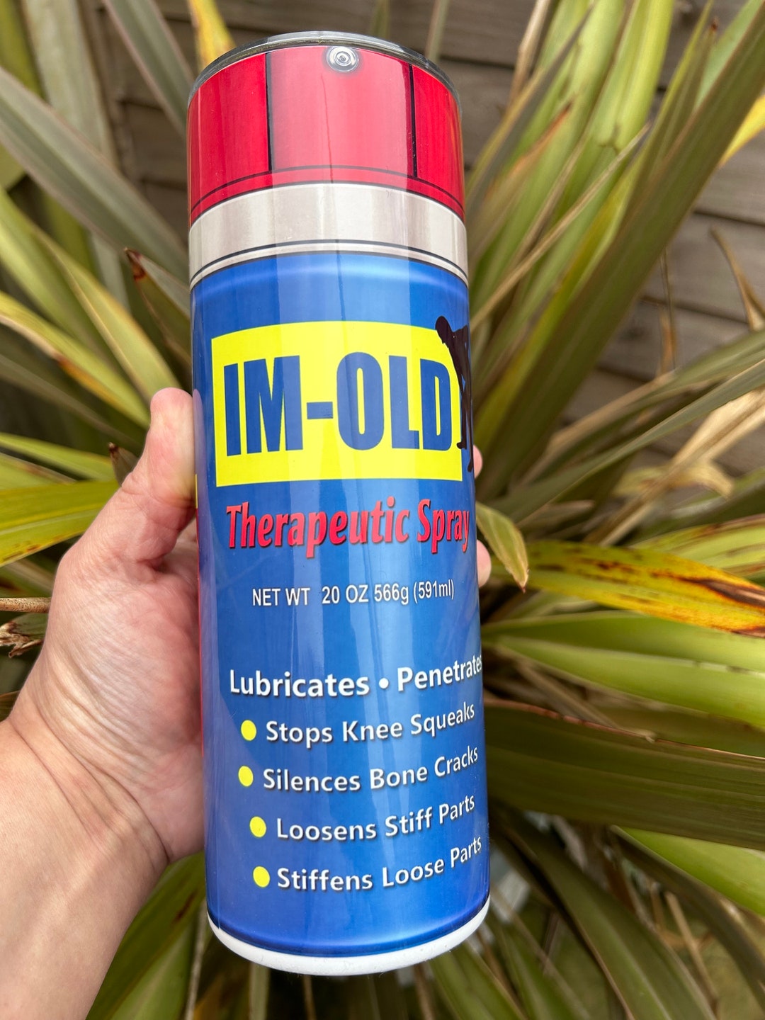20oz Im Old Spray Can Tumbler and Straw - Etsy UK