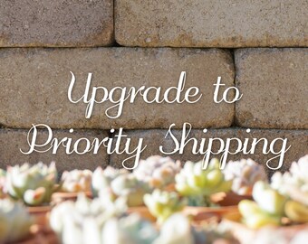 Priority Mail Upgrade - Etsy