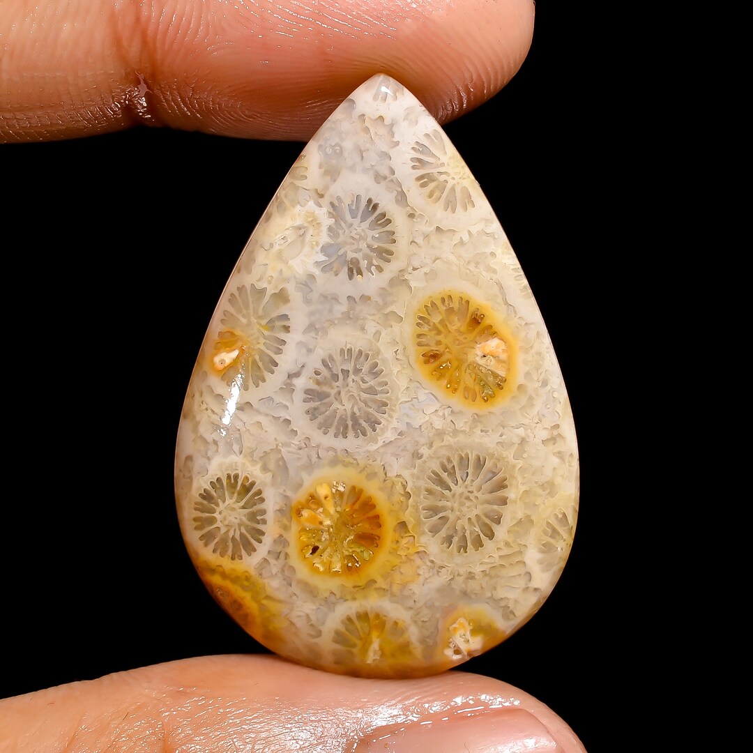 Fabulous Fossil Coral Pear Shape Cabochon, Designer Fossil Coral Loose ...