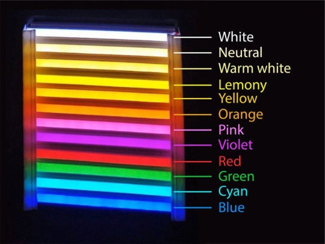 Cactus Jack Neon Custom Neon Sign Home Interior Modern Decor - Etsy