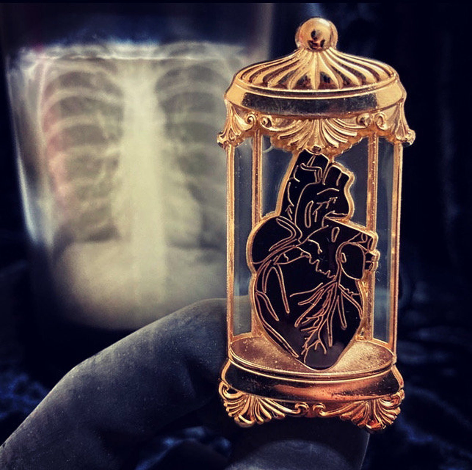 Human Heart Specimen 3D Enamel Pin - Etsy