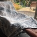 Shell Yeah! - Etsy
