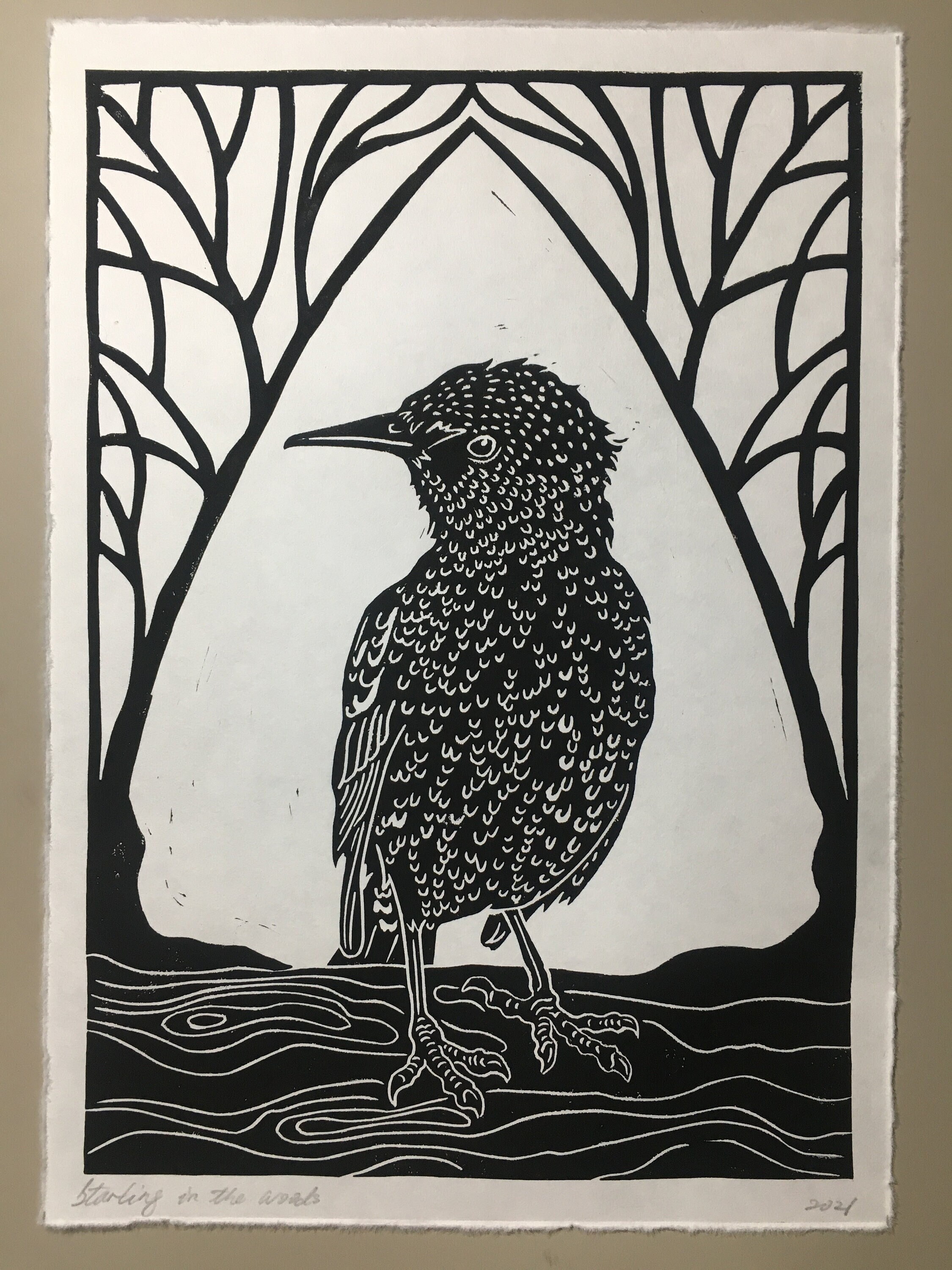 Hand Printed Starling Bird. Original Hand Printed. Starling Bird in the ...