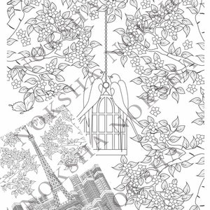 Colouring in Book, Titled Colour Your Mind by Noksha - Etsy Australia