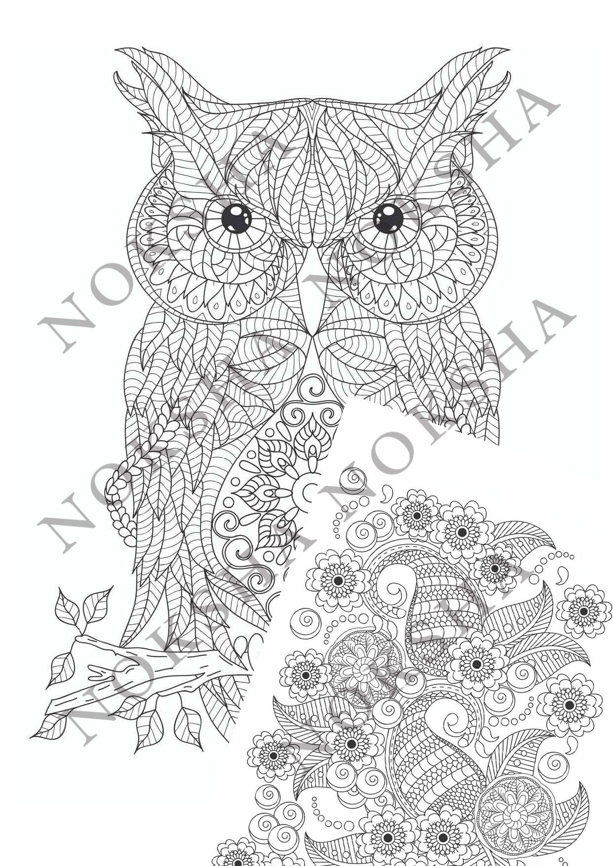 Colouring in Book, Titled Colour Your Mind by Noksha - Etsy Australia