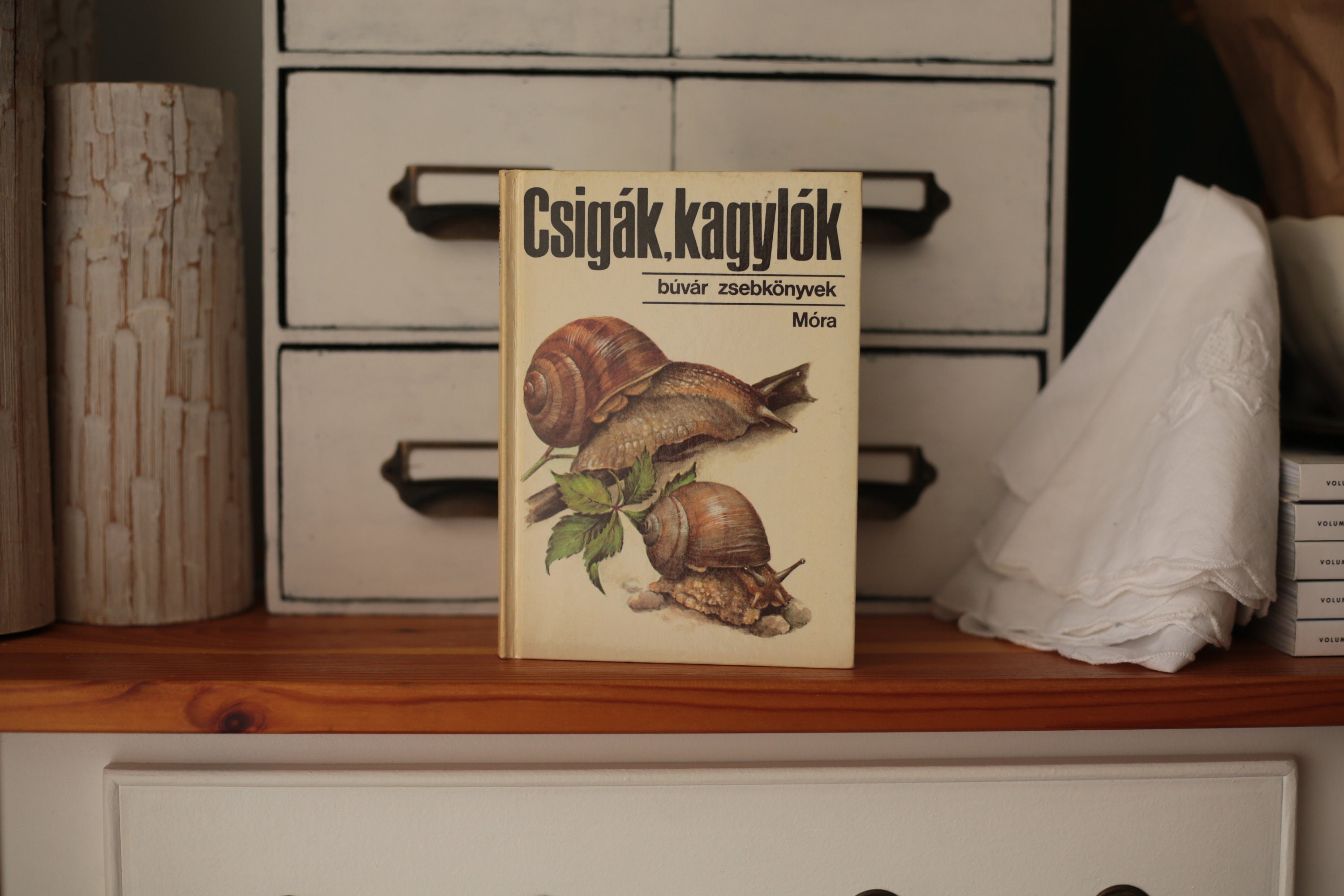 Field Guide to Snails and Shells, European Vintage Nature Book ...