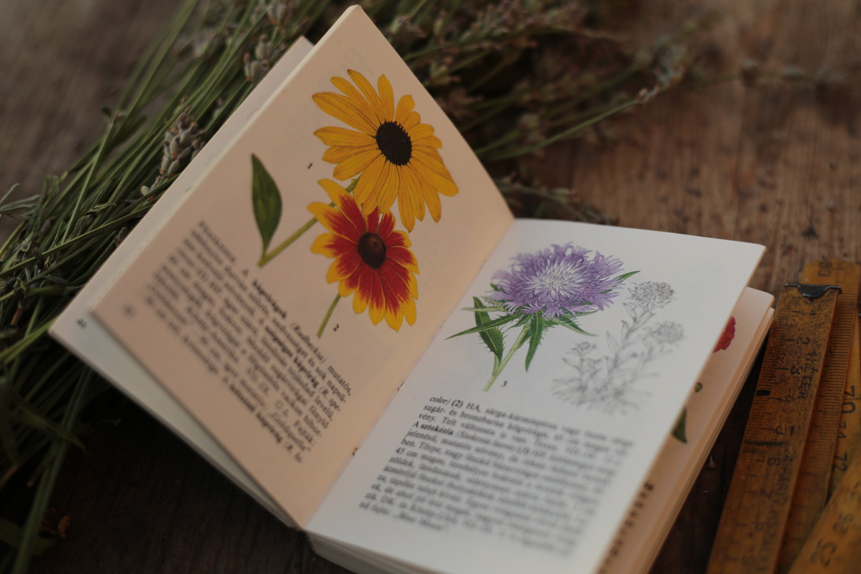 Tiny Pocket Reference Book About Garden Flowers, European Vintage ...