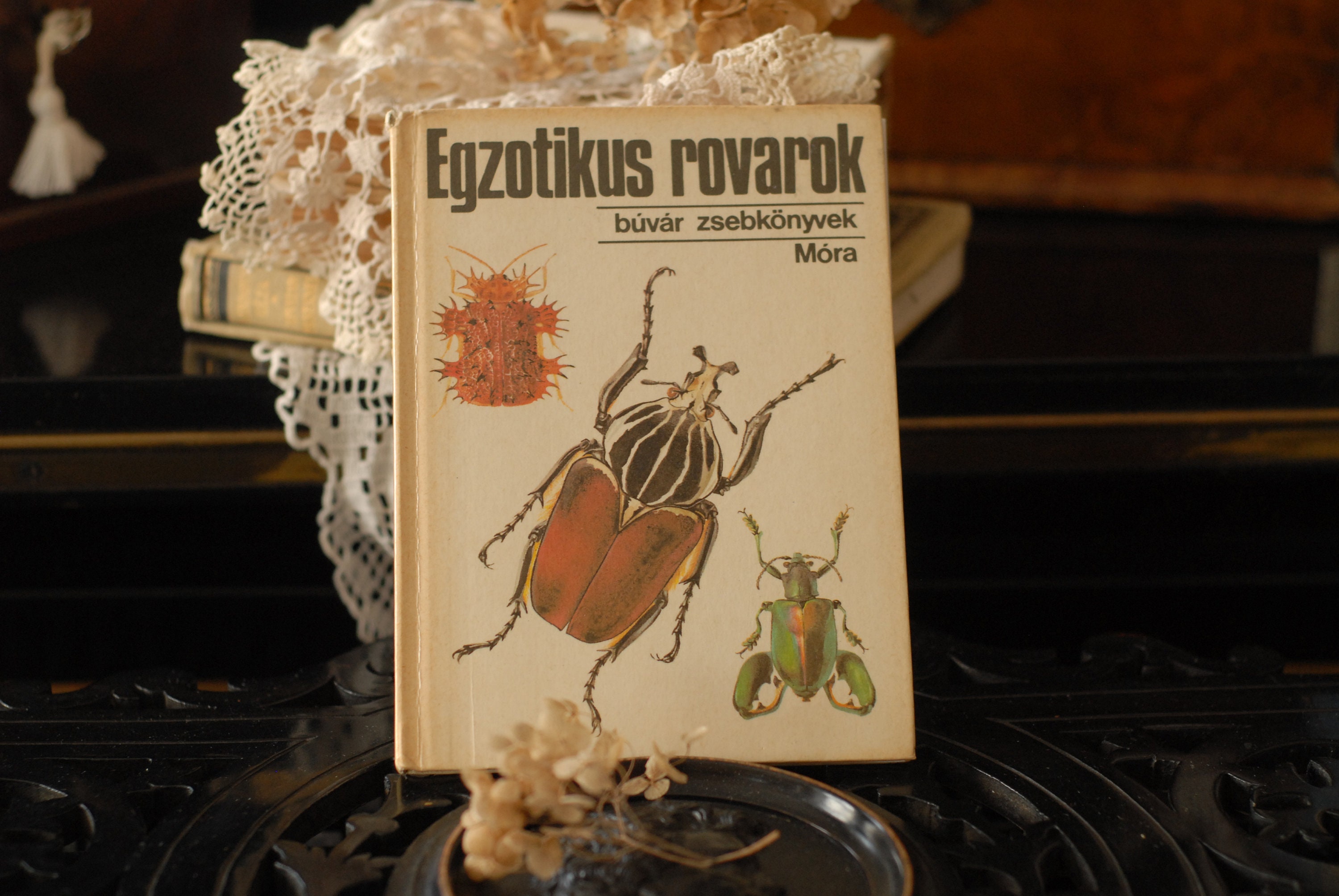 Guide to Exotic Insects, European Vintage Nature Book, Watercolor ...