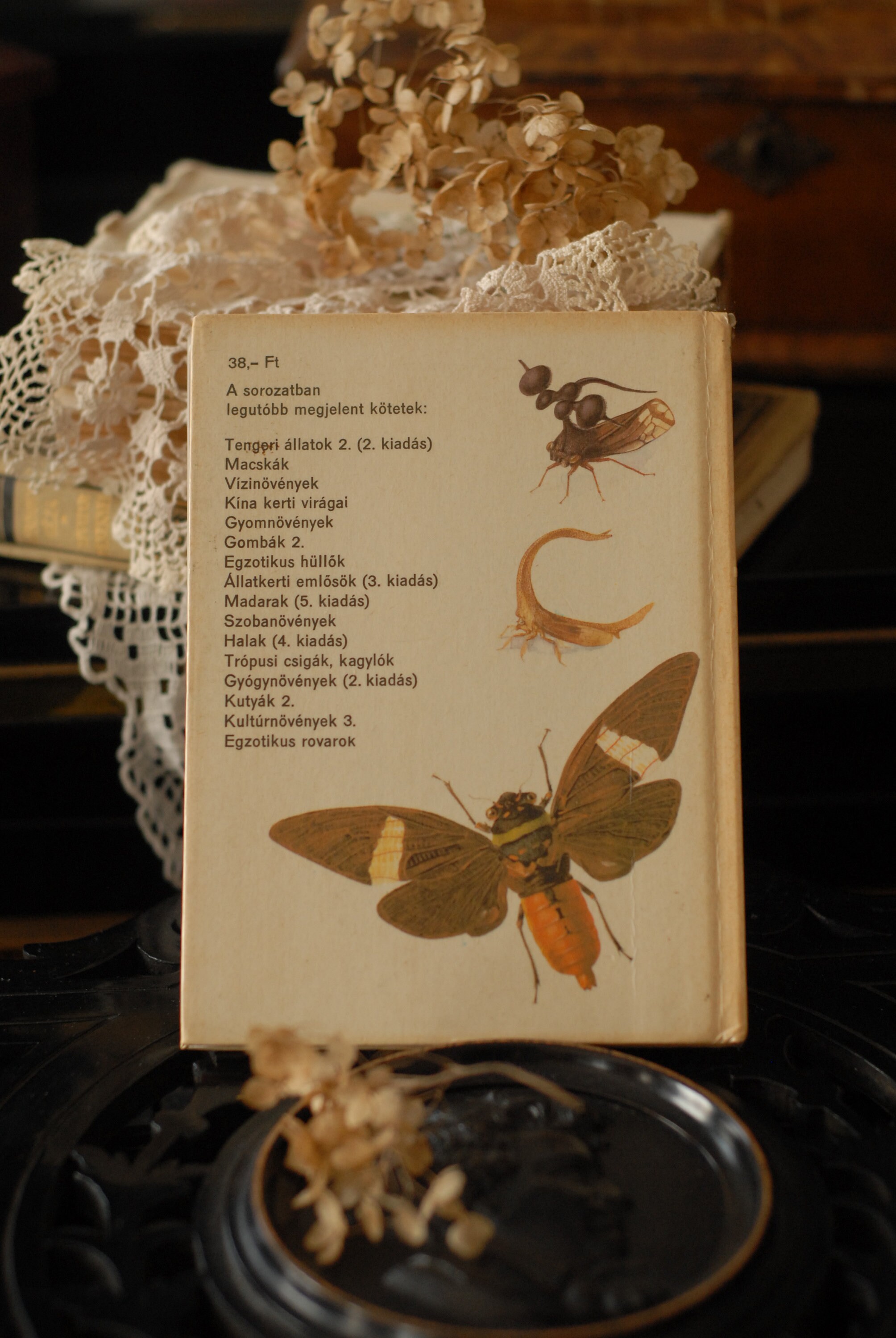 Guide to Exotic Insects, European Vintage Nature Book, Watercolor ...