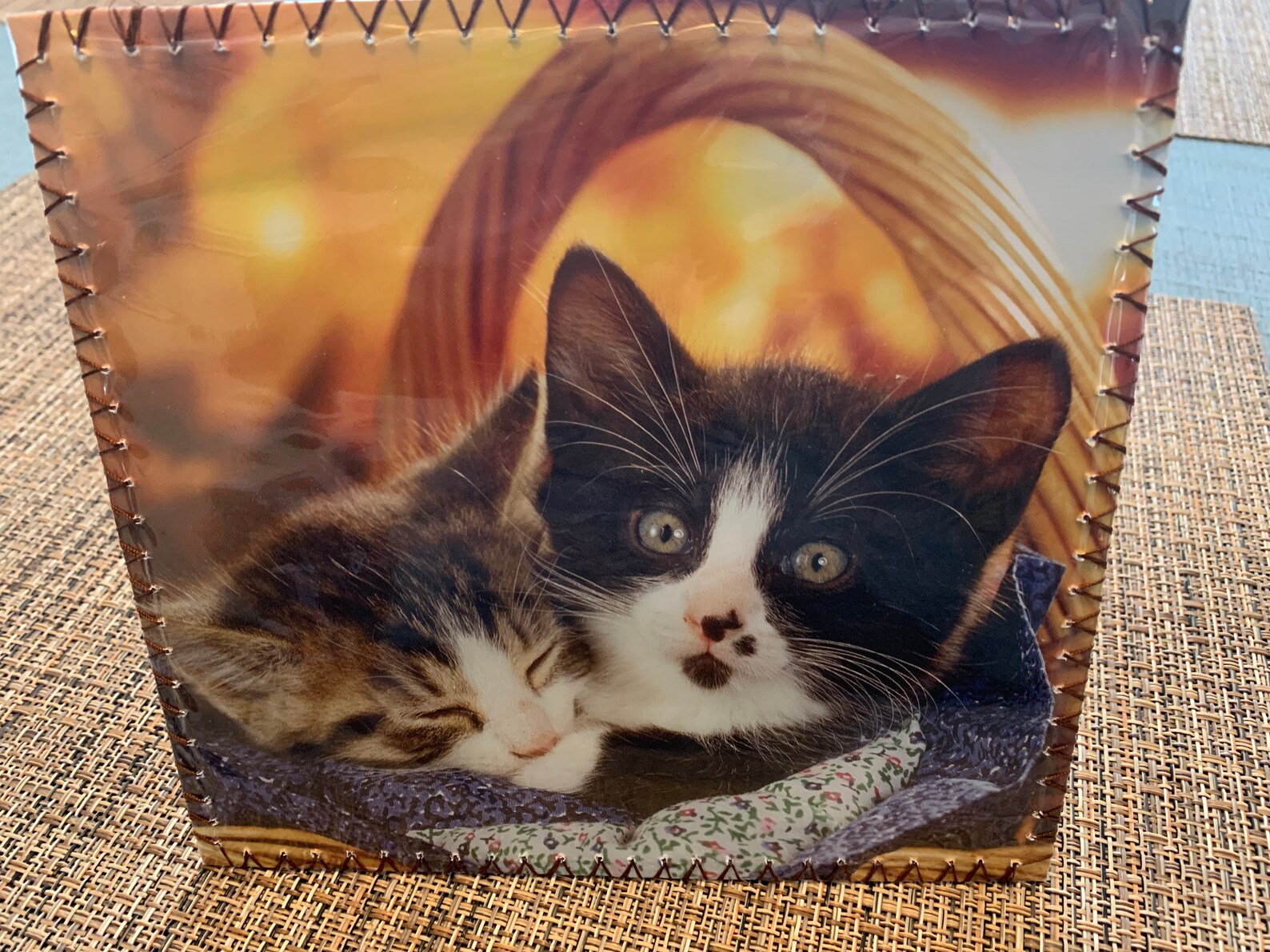 Cute Cats Frame Various | Etsy