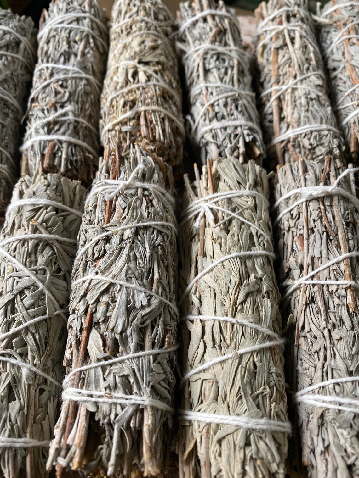 Blue Sage Bundle - Etsy