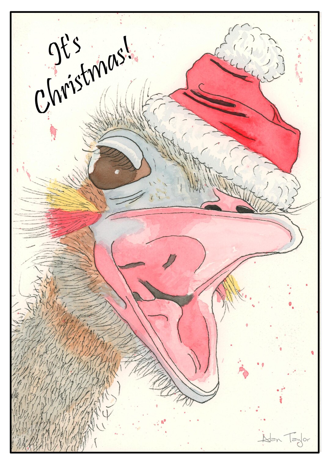 Funny Animal Christmas Cards Pack, Xmas Wildlife Art Greetings ...