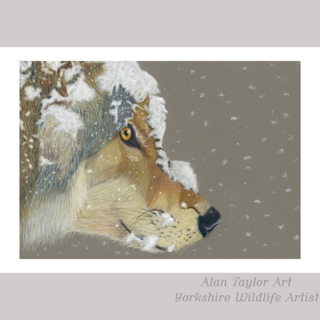 Wolf Print, Winter Scene Print, Snowy Scene Art, Christmas Print, Prey ...