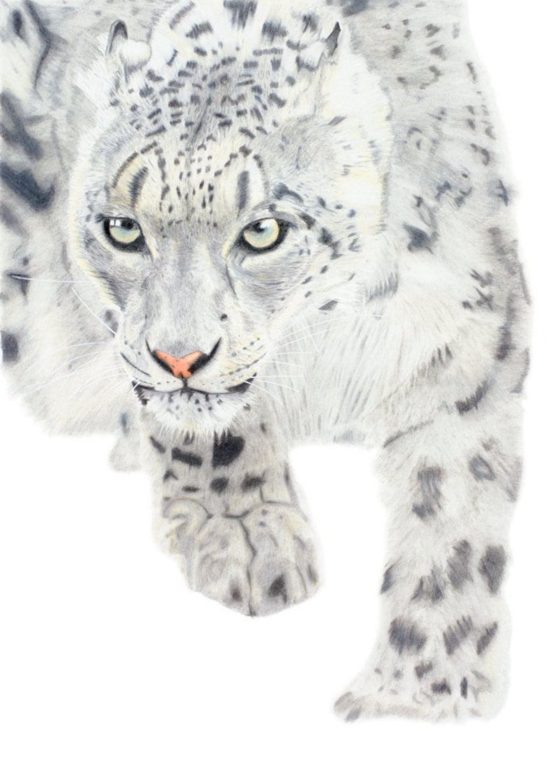 Snow Leopard Print, Big Cat Wall Art, Wildlife Gift for Dad, Wild Cat ...