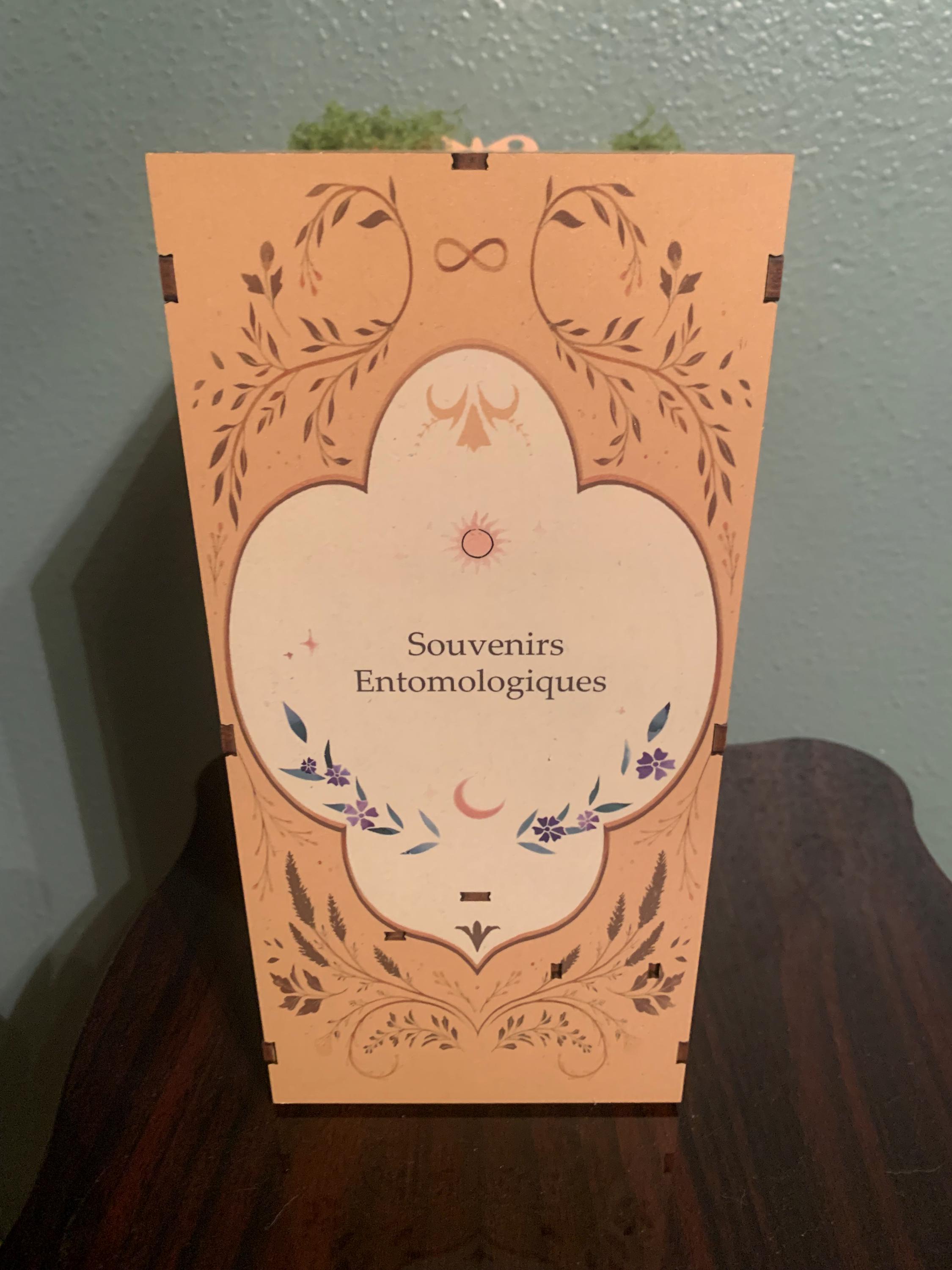 Pre-built Book Nook: an Insect Story - Etsy