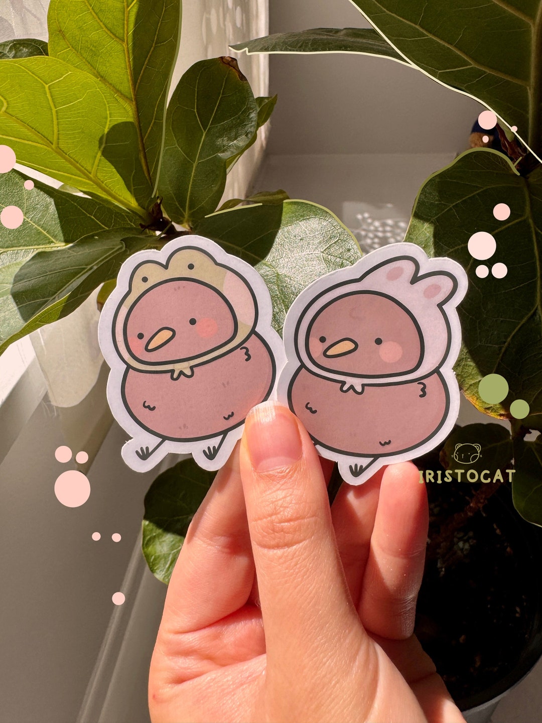 Animal Hat Kiwi Sticker Set Kiwi Bird Sticker, Kiwi Wearing Hats, Bunny ...