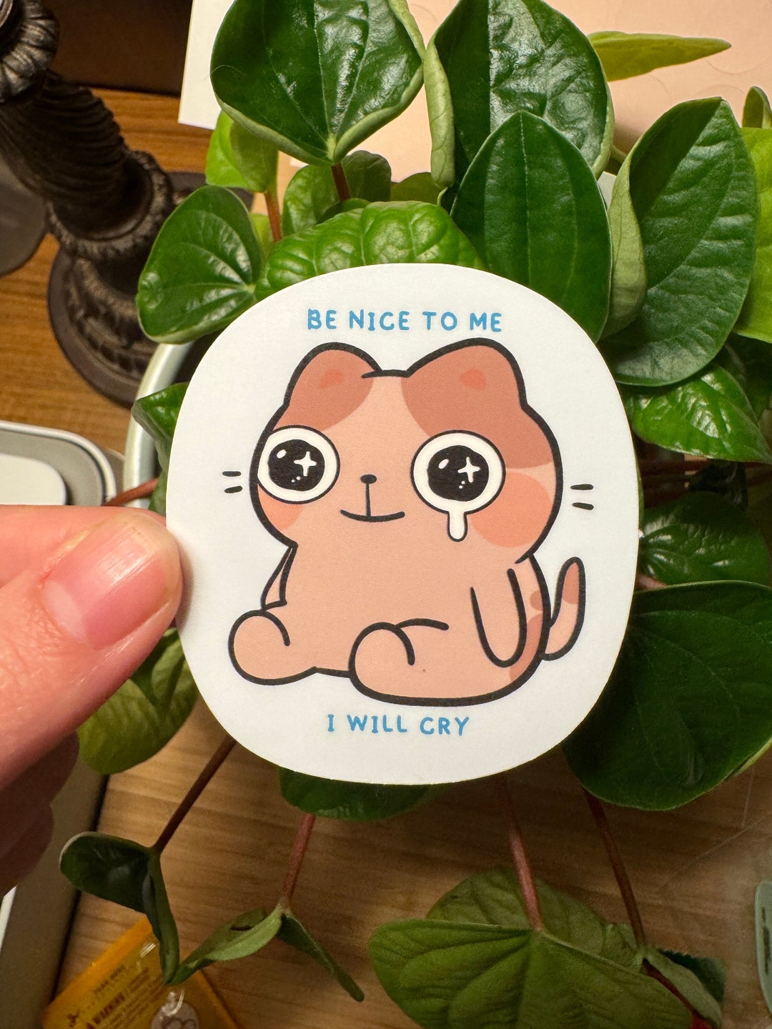 Be Nice to Me, I Will Cry Sensitive Cat Decal, Waterproof Vinyl Diecut ...