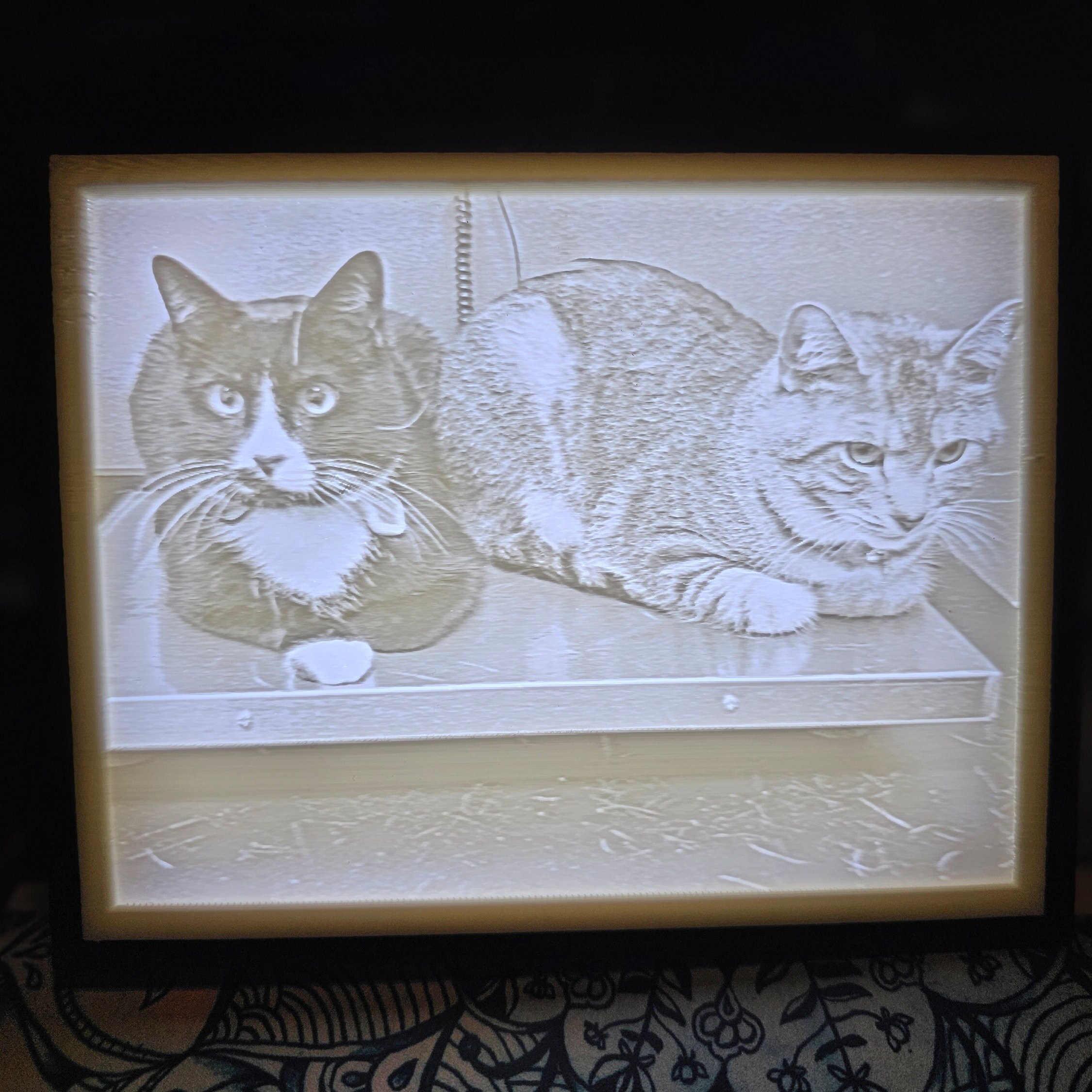 Custom Photo Lithophane Light (3D Printed) - Etsy