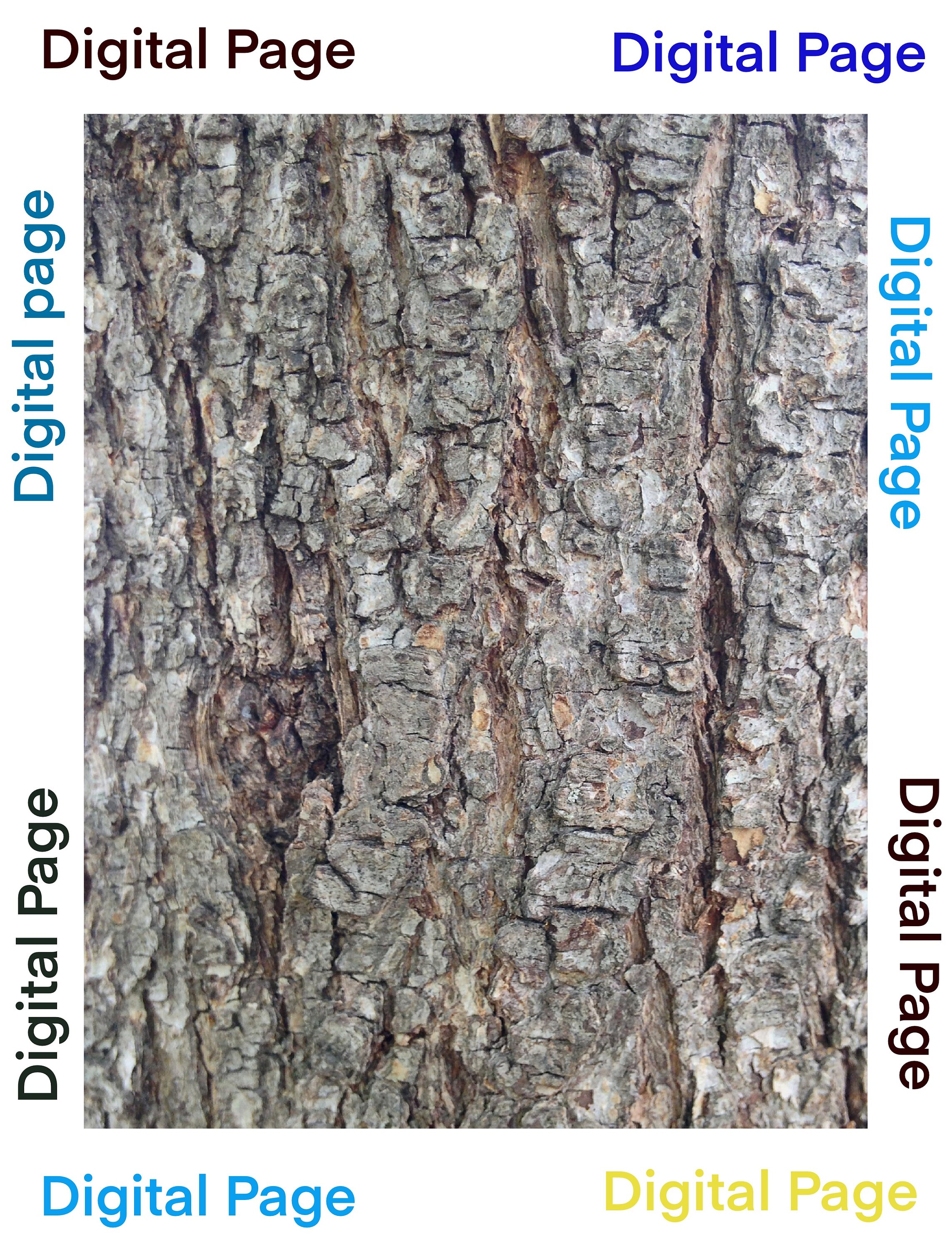 Tree Trunk Bark Printable Digital 8.5 X 11 Letter Sized Junk Journal ...