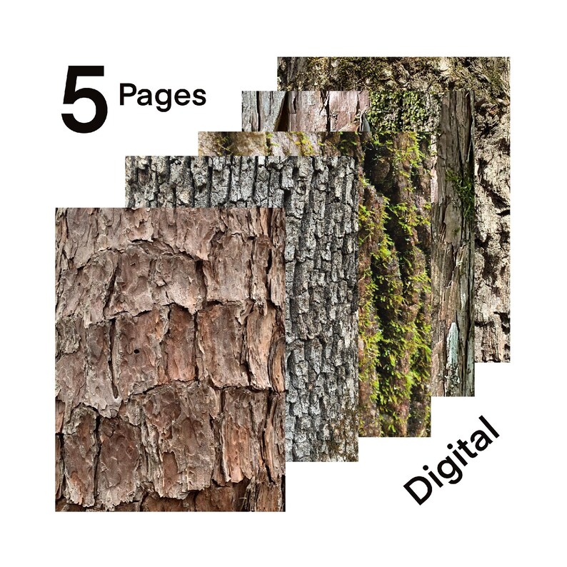 Tree Bark Digital Printable Pages 5 Different Kinds for Junk Journaling ...
