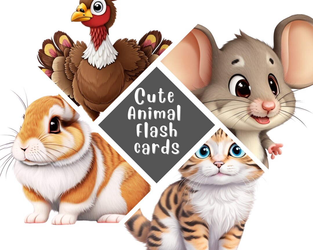 Cute Animal Flash Cards pack of 16 Flash Cards for Kids Flashcards ...