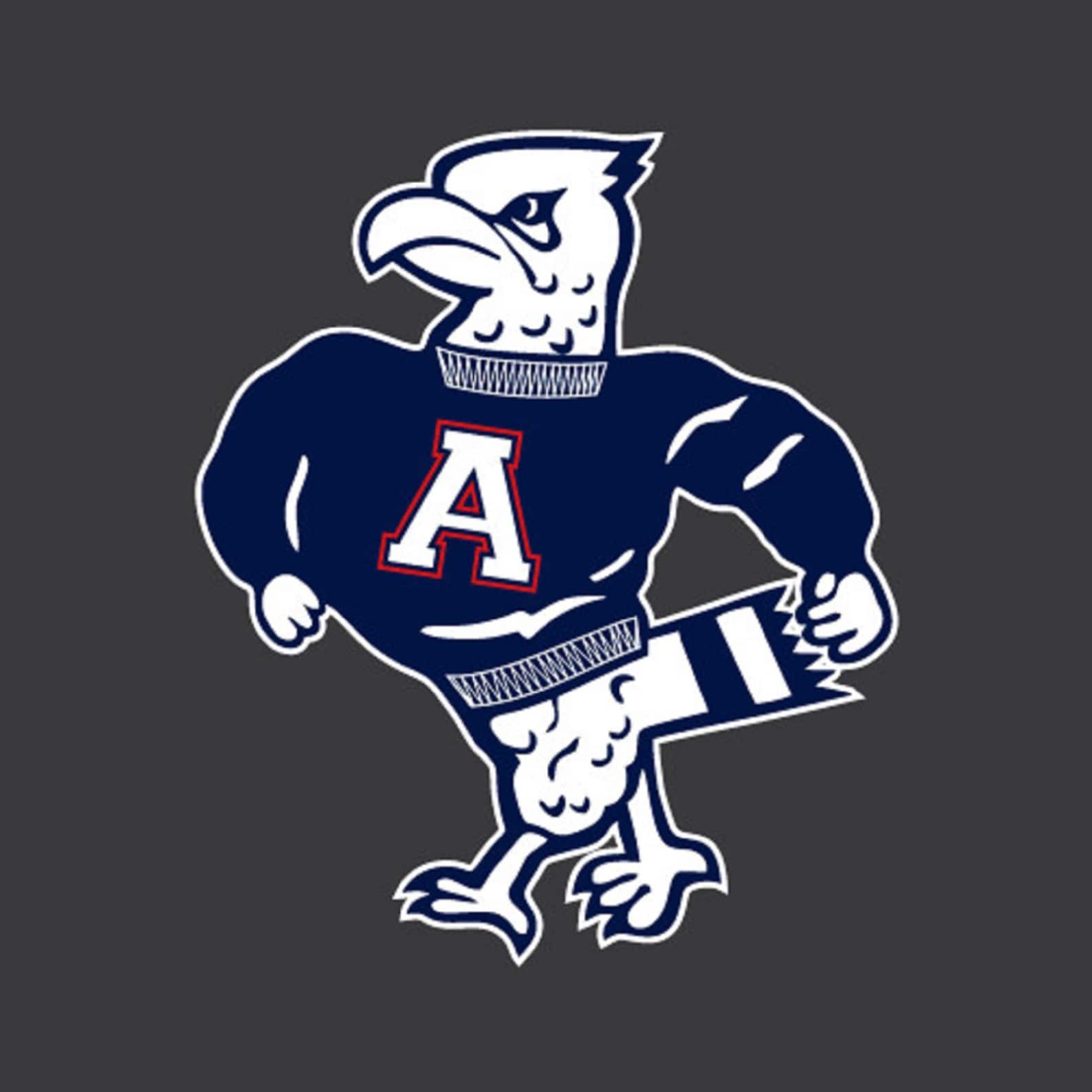 Allen High School Eagles A Eagle Tuffy Logo Sticker / Window Decal - Etsy