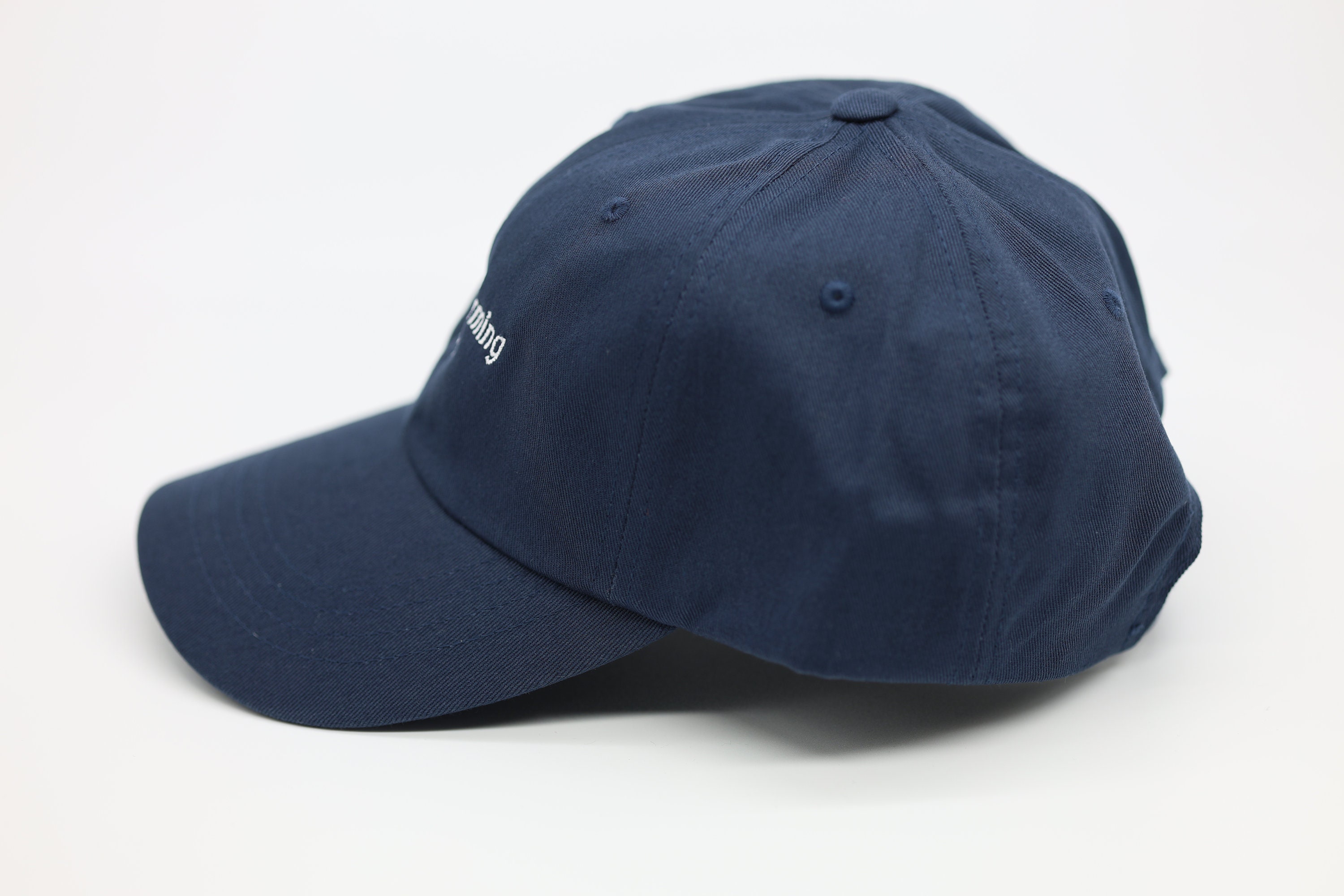 Underperforming Asset Hat Funny Finance - Etsy