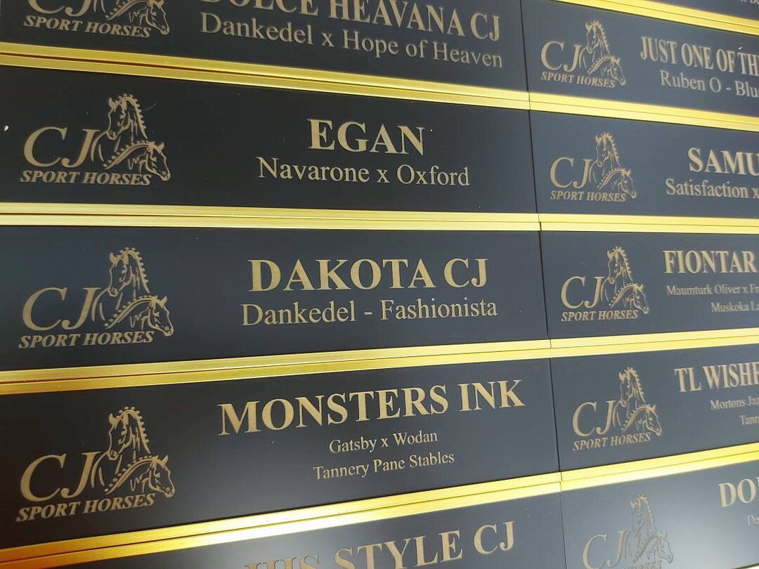 Stall Name Plate Slider Set & Single Plates Only - Bold Lamacoid ...