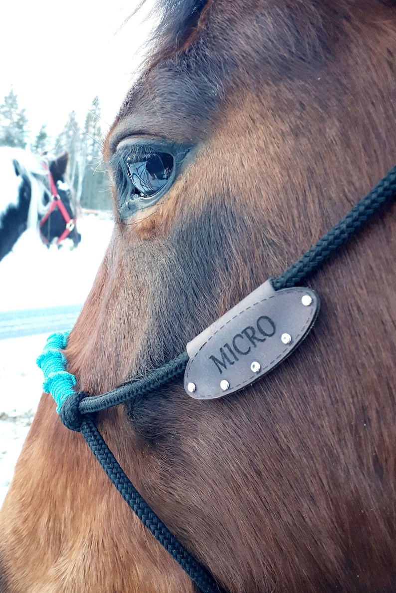 Engraved Leather Horse Name Tag for Rope Halters - Etsy
