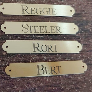 Brass Saddle Plate With Escutcheon Pins - Etsy