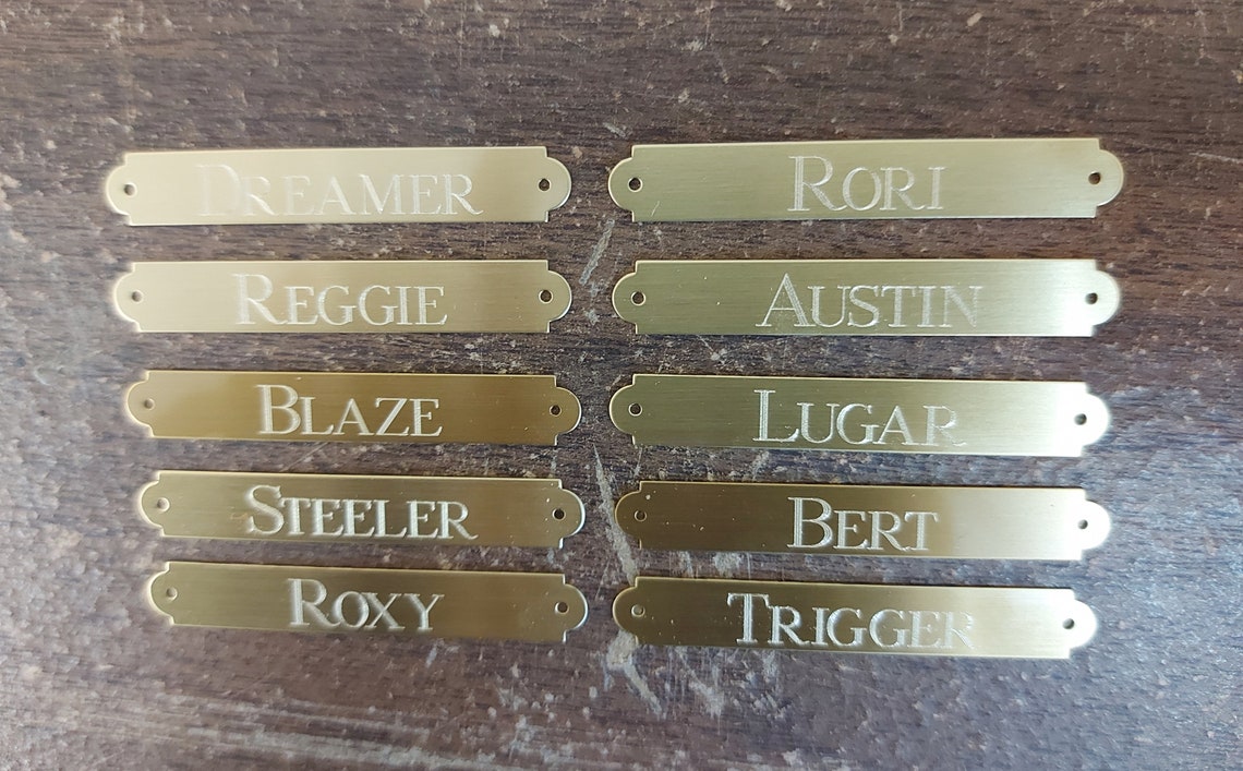 Brass Saddle Plate With Escutcheon Pins - Etsy