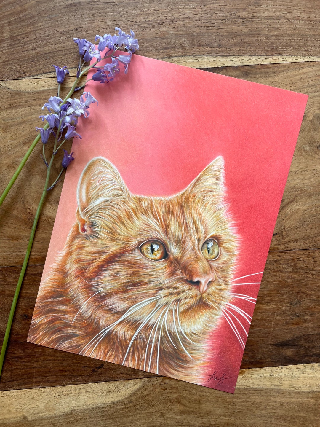 Ginger Cat Print - Etsy