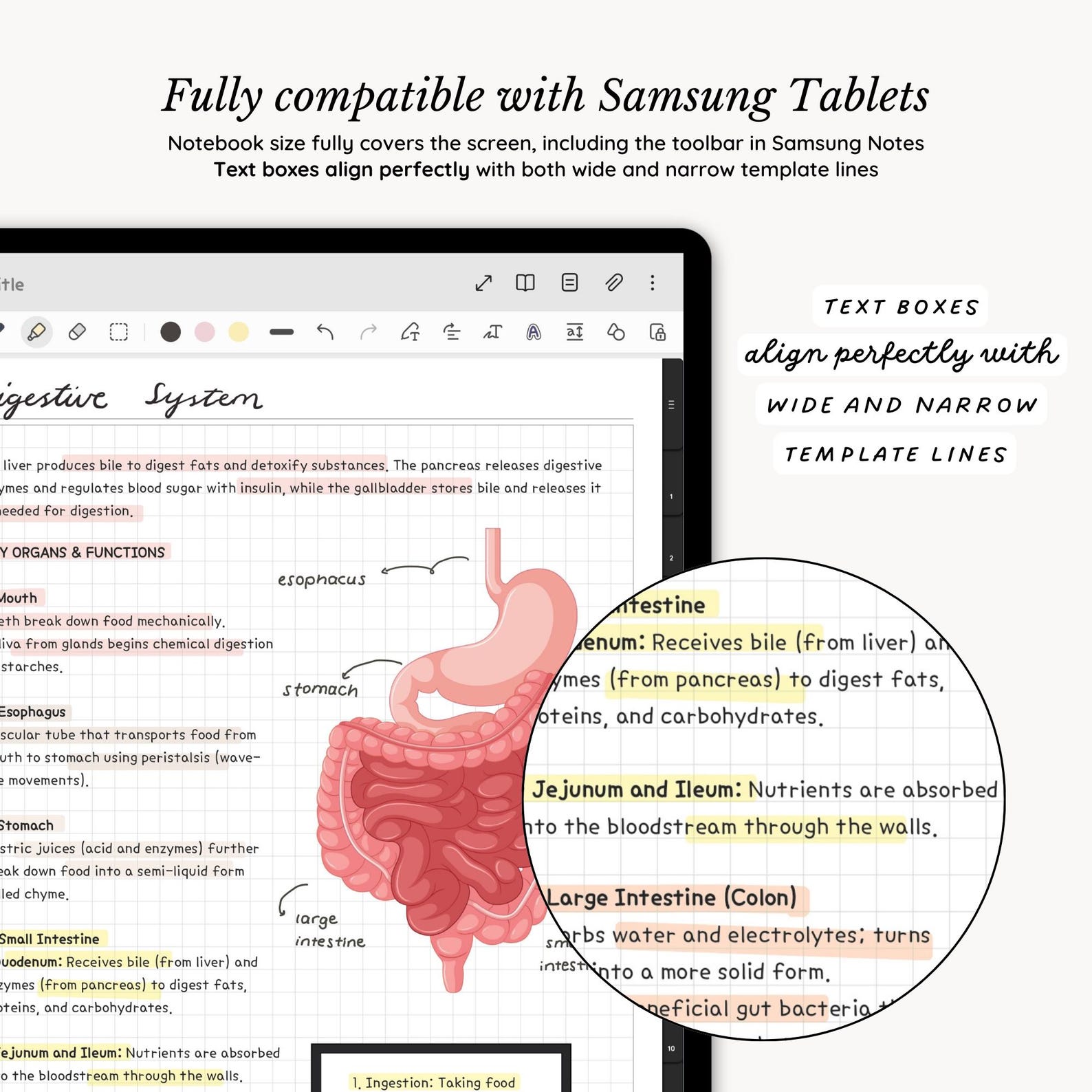 Samsung Notes Digital Notebook | Samsung Notes Digital Planner ...