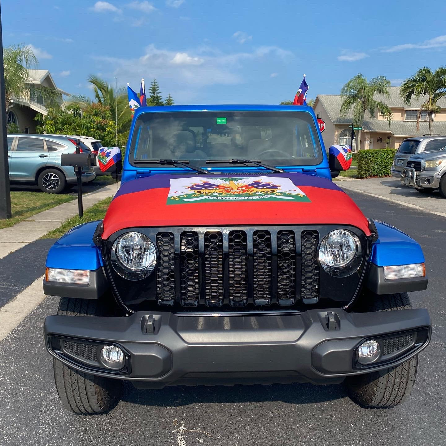 Haitian Flag Car Hood Cover red& Blue W FREE SHIPPING - Etsy