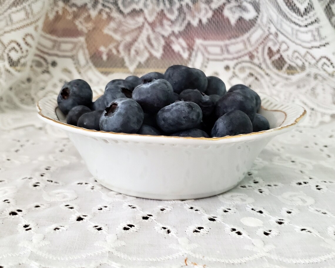 Vintage German Porcelain Finger Bowl by SCHUMANN BAVARIA - Etsy