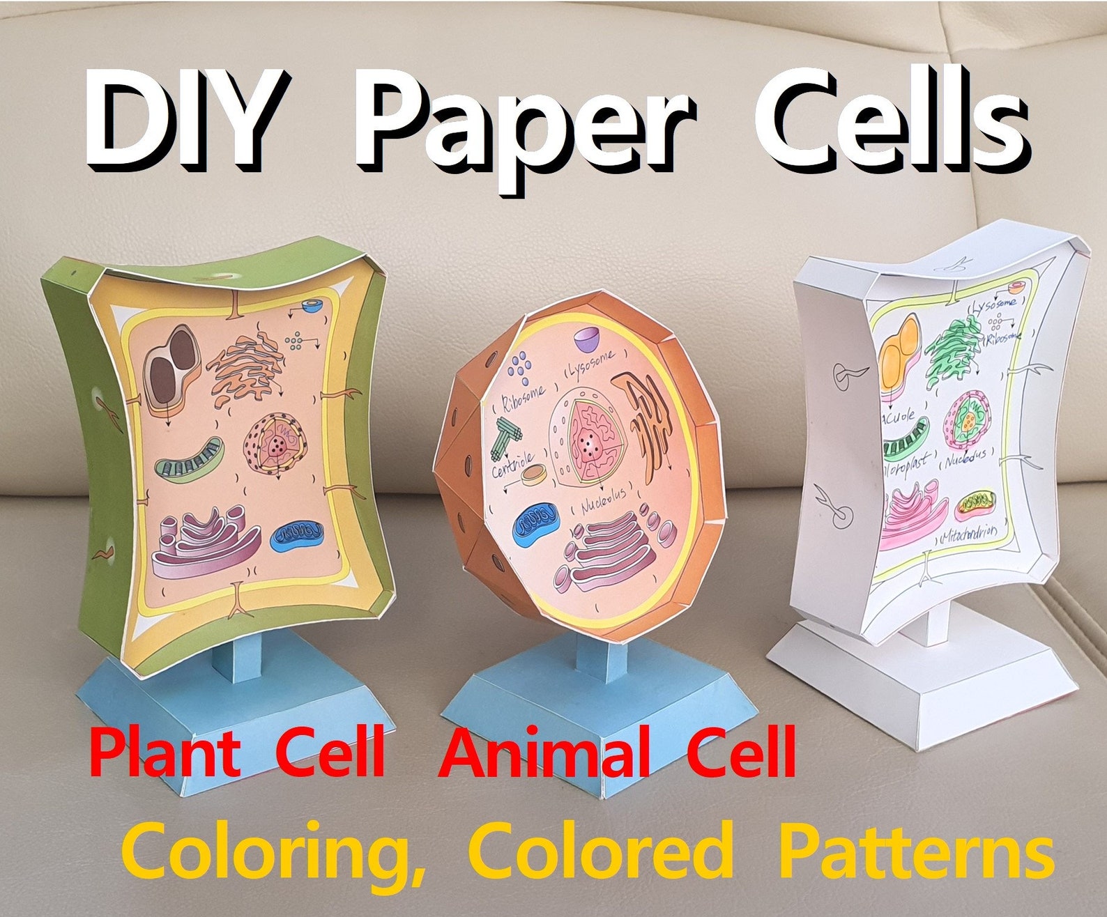 DIY 3D Paper Cells Models, 3D Paper Animal Cell, Paper Plant Cell ...