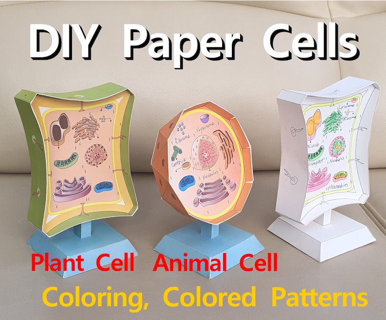 DIY 3D Paper Cells Models, 3D Paper Animal Cell, Paper Plant Cell ...