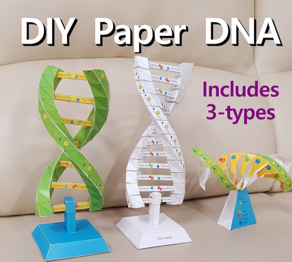 Modelo De Adn De Origami Innovador 'origami' De ADN Captura Virus