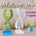 DIY 3D Paper Cells Models, 3D Paper Animal Cell, Paper Plant Cell ...