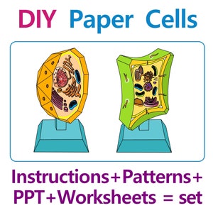 DIY 3D Paper Cells Models, 3D Paper Animal Cell, Paper Plant Cell ...