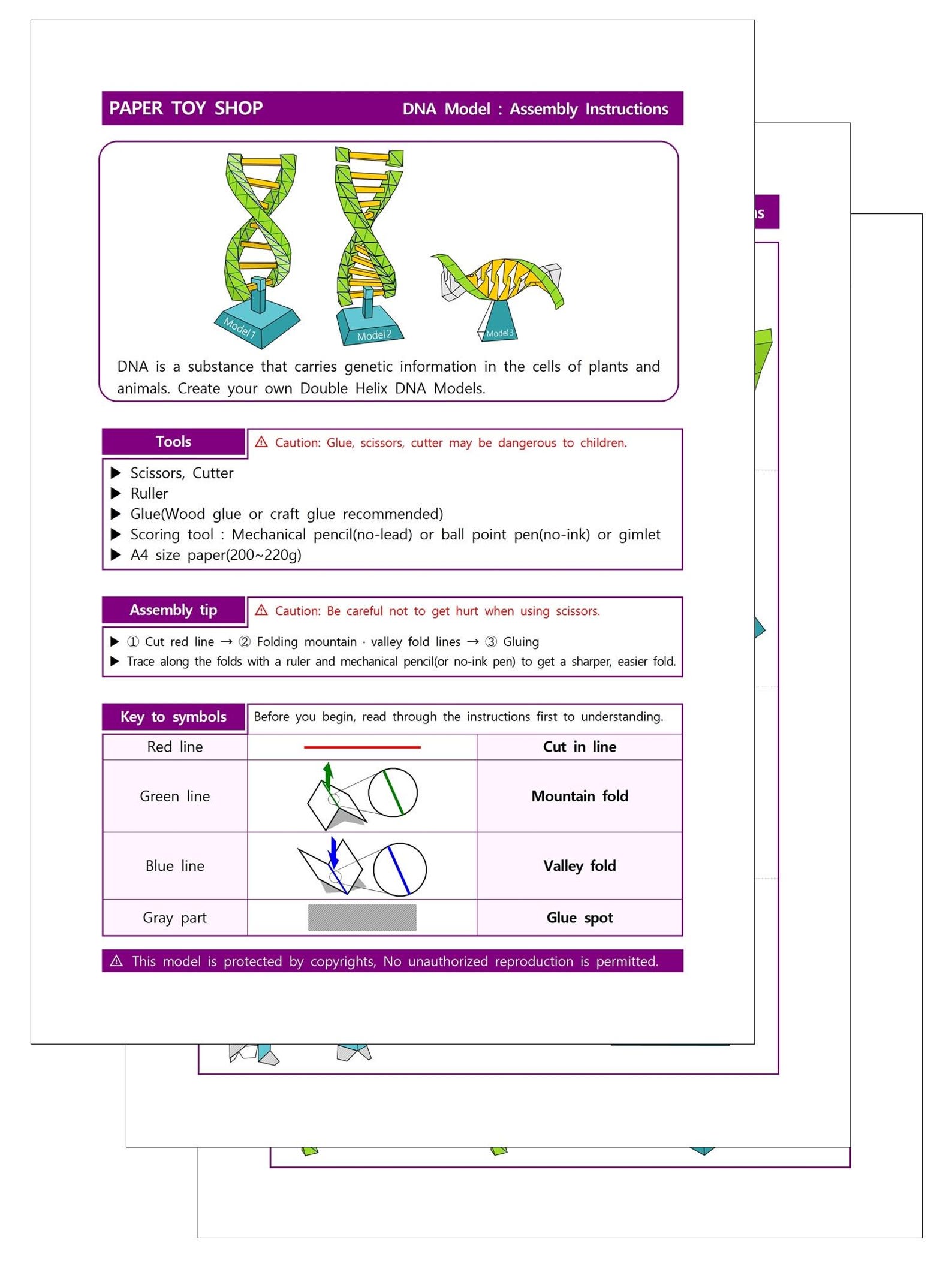 DIY 3D Paper DNA Models, Double Hexlix, Adenine, Guanine, Cytosine ...