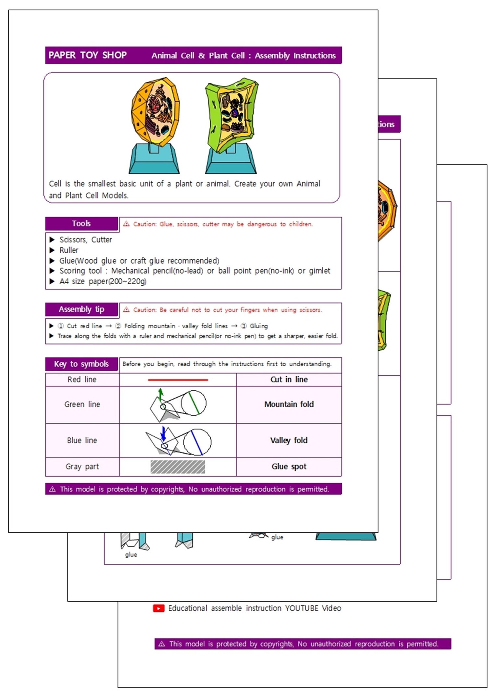 DIY 3D Paper Cells Models, 3D Paper Animal Cell, Paper Plant Cell ...