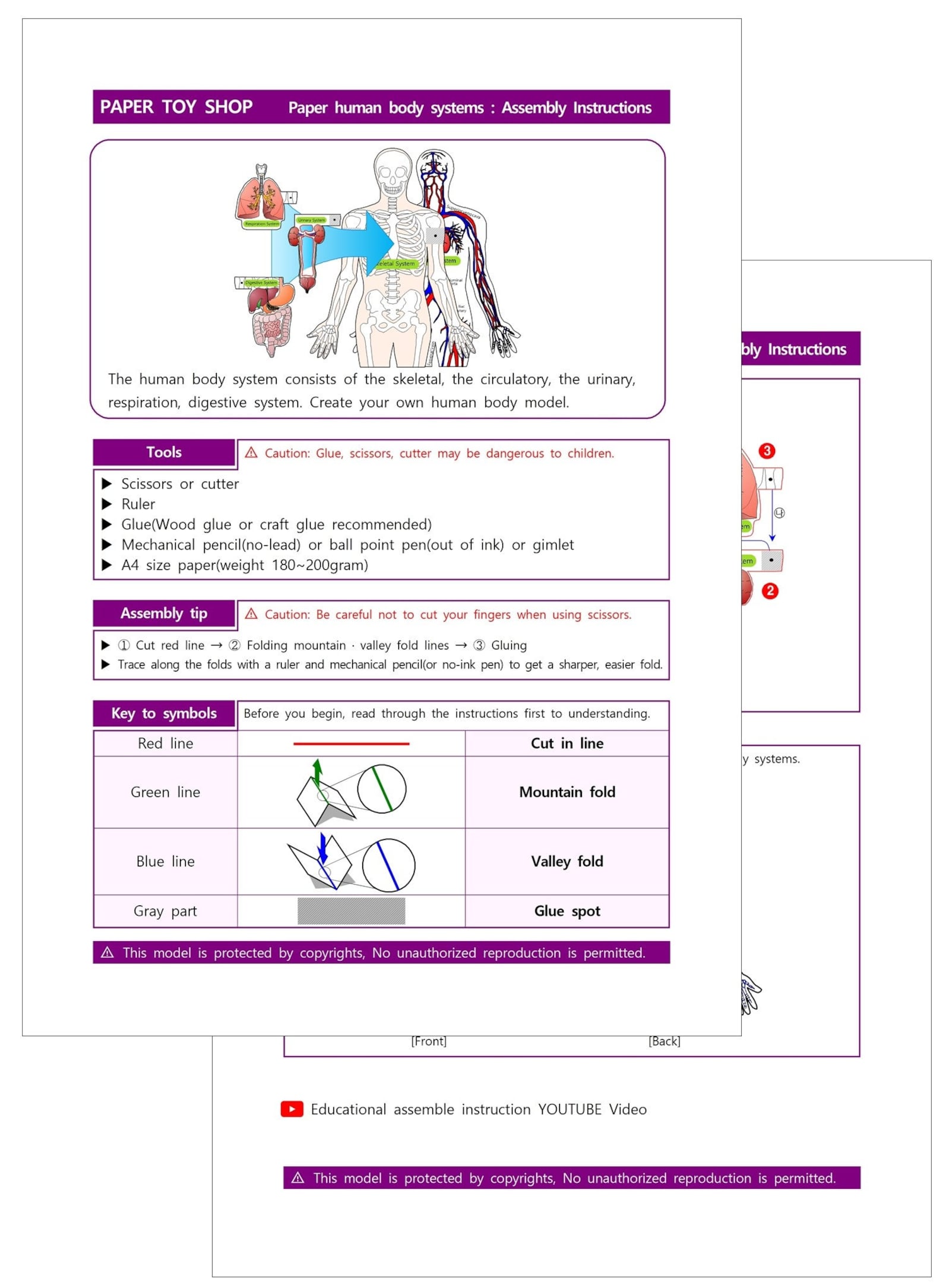 DIY Paper Human Body System Model, Biology Science Activity, Anatomy ...